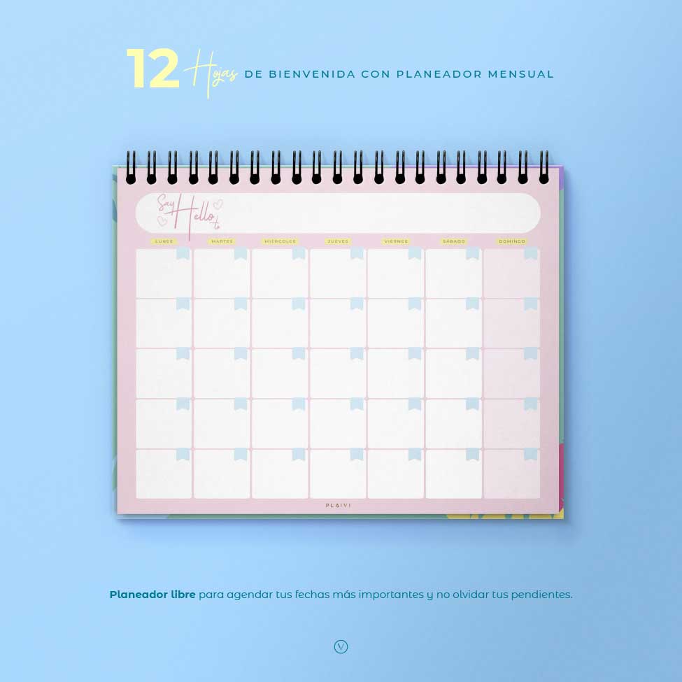 Planeador Big Planner